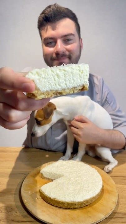 ქოქოსის ჩიზქეიქი გამოცხობის გარეშე 🥥 Food მასტერშეფი გემრიელი ტკბილისაჭმელი ჩიზქეიქი Youtube