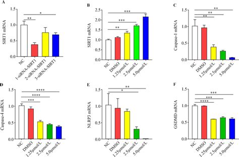 Effects Of Sirtuin 1 Sirt1 On The Messenger Rna Mrna Expression Of