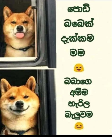 Unga Bunga Rbrandnewsentence