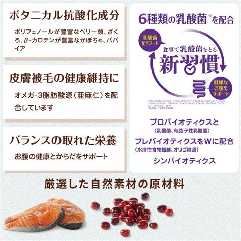ウェルネス コアダイジェスティブヘルス 成猫用 1歳以上 サーモン＆米 800g キャットフード ドライ キャット ねこ ネコ 乳酸菌