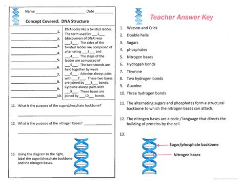 Chapter Review Worksheet Answers Bio Studocu