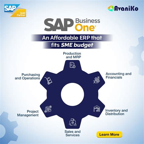 Avaniko Sap Business One For Small And Midsize Business Avaniko