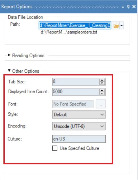 Report Options — Reportminer 9 Documentation