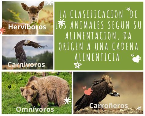 Animales Segun Su Alimentacion Rompecabezas En Línea