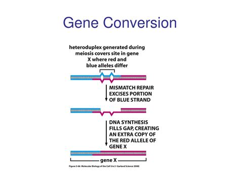 Office Hours Midterm 1 Ppt Download