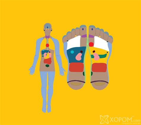 Таны хөлийн ул эрүүл мэндийн чинь талаар юу хэлж өгч чадах вэ