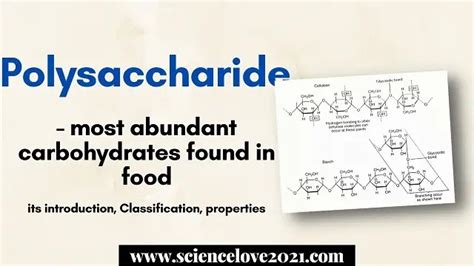 Polysaccharide Introduction Classification Properties ~ Sciences World