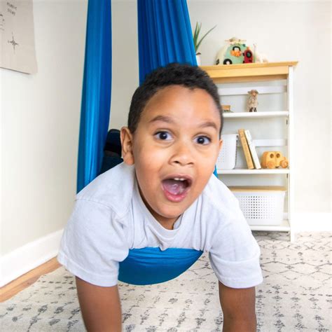 Buy A Harkla Sensory Swing Free Shipping Harkla