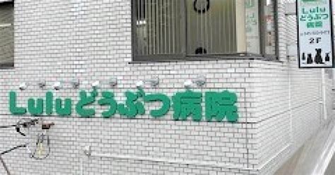 Luluどうぶつ病院｜横浜市青葉区の動物病院｜横浜ペットナビ