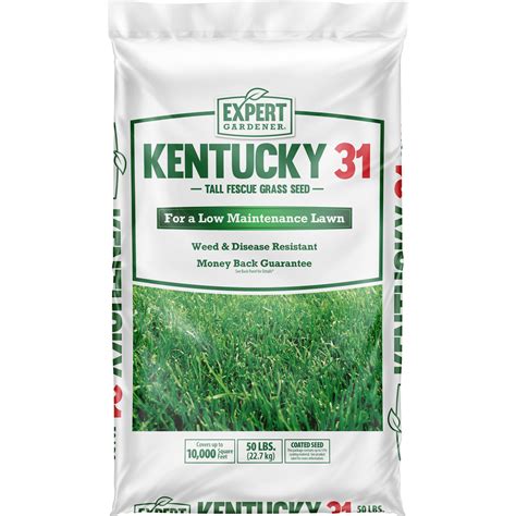 Seedranch Kentucky 31 Tall Fescue Grass Seed 50 Ubicaciondepersonas