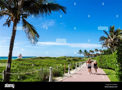 Miami Beach Florida BeachWalk Walk Path Couple Palm Trees Visitors Travel Traveling Tour Tourist
