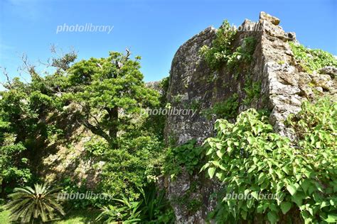 Photolibrary