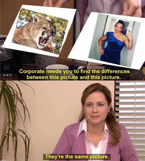 Cougar Memes And S Imgflip