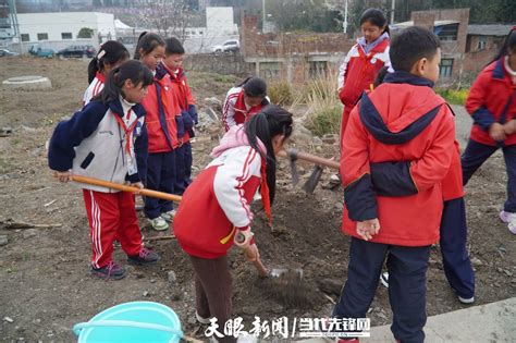 “植”入绿色·共“树”未来——纳雍县第八小学开展植树劳动实践活动意义教育人员