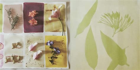Anthotype Printing With Native Plants Duke Farms
