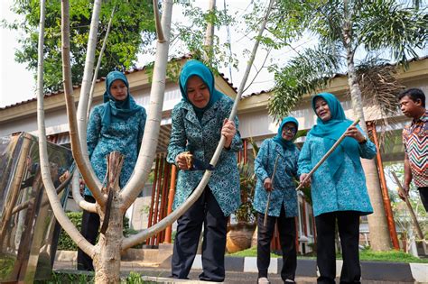 TP PKK Provinsi Banten Luncurkan Gerakan Sejuta Pohon Kelor Berita Kota