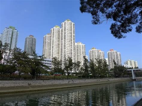 大埔 大埔中心2房單位放租放售 YouTube
