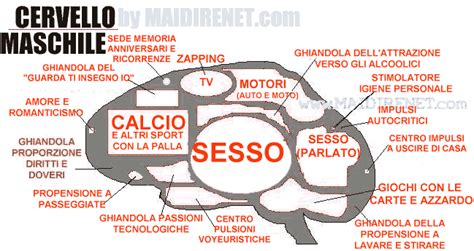 Maschi Vs Femmine Leterna Lotta Del Pene Vs Il Male Cit — Steemit