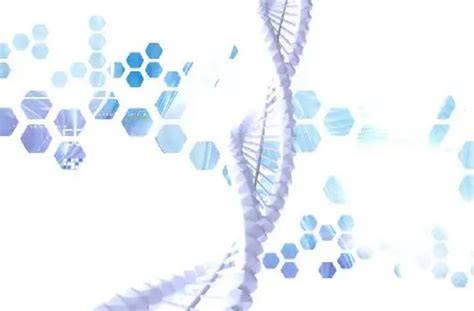 Development Trend Of Molecular Diagnostic Technology Gangzhumed