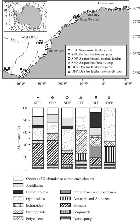 8 Spatial Distribution Of The Relative Abundance Proportions On A Download Scientific Diagram