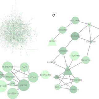 A Association Weight Matrix Gene Network A Entire Gene Network Download Scientific Diagram