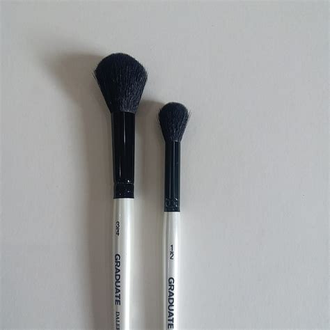 Daler Rowney Graduate Round Mop Brush In Black Goat Hairs