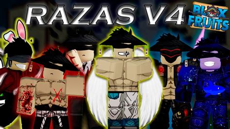 SHOWCASE DE TODAS LAS RAZAS V AWK EN BLOX FRUITS YouTube