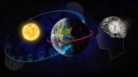 Mehrdad Khanisanij On Linkedin The Hidden Link Between Circadian