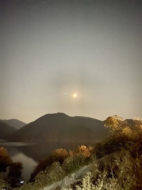 캠핑에서 Bbq의 새로운 혁명 종이박스를 활용한 훈연 바베큐 그릴 만들기