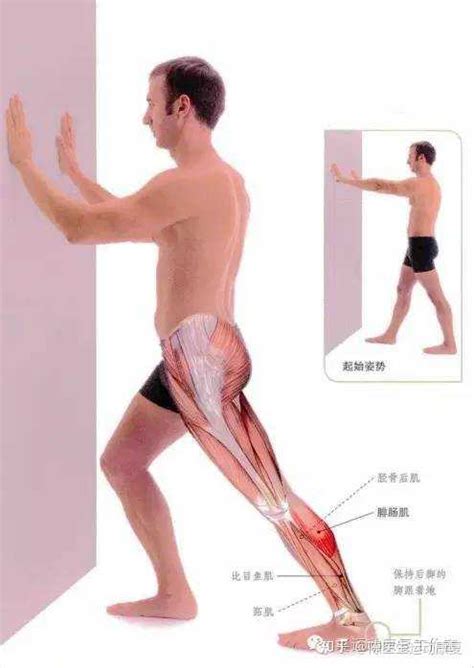 小腿肌肉拉伤怎么快速恢复？ 知乎