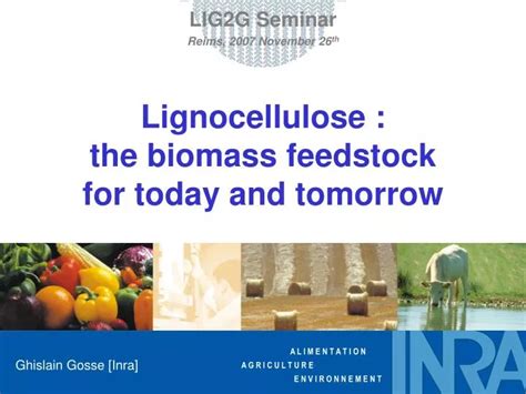 Ppt Lignocellulose The Biomass Feedstock For Today And Tomorrow