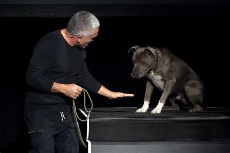 ¿recuerdas A César Millán El Encantador De Perros Su Vida Tras El