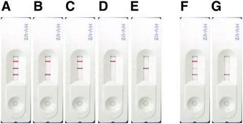 Plastic Sd Bioline Hiv Rapid Test Kit At Rs In Sirsa Id