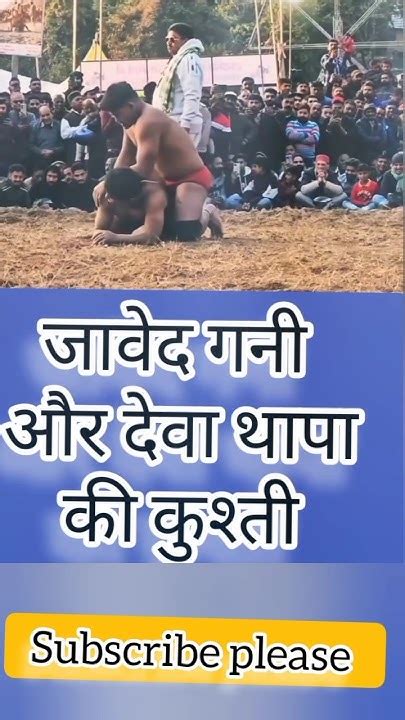 जावेद गनी और देवा थापा की जोरदार कुश्ती Babalaadikikushti Kushti Cow