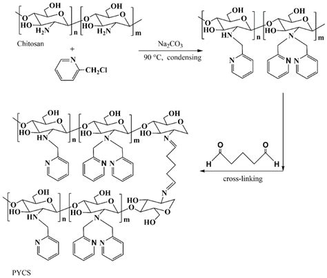 Synthetic Procedure Of Pycs Download Scientific Diagram