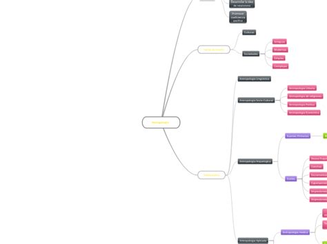 Antropología Mind Map