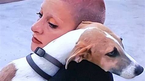 Operaron A Arturo El Perro De “gran Hermano 2023” Y Filtraron Imágenes