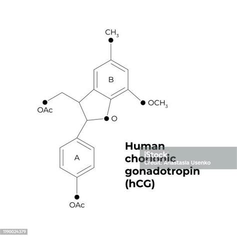 向量激素簡約的橫幅範本hcg 結構黑色隔離在白色背景上激素與懷孕測試相關科學教育演示設計向量圖形及更多人生長激素圖片 人生長激素 人類