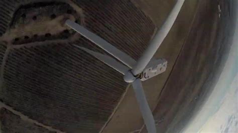 WT Detector Object Detection Model By Bahar Sharifi