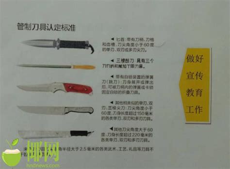 海南一高中生为防身携管制刀具被罚 称今后不会再犯 新浪海南 新浪网