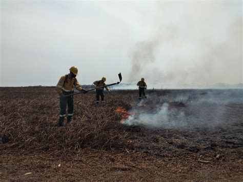 Brigadistas Forestales Del Batallón De Ingenieros 1 Combaten El Fuego