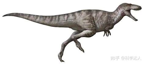 恐龙1 6亿年没出现智慧，人类几万年就做到了，进化论是错的？ 知乎