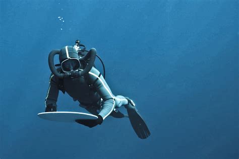 50 François Sarano Au Nom Des Requins Storylific