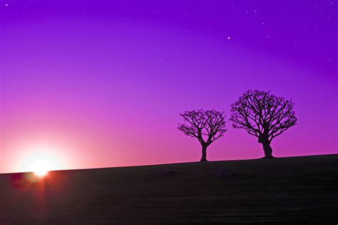 Starry Sunset Flickr Photo Sharing