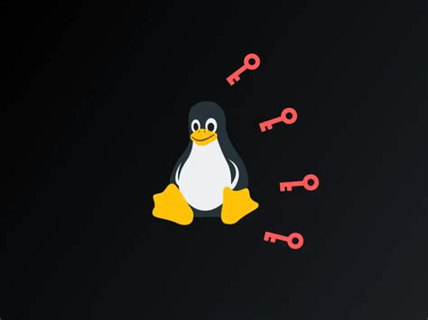 Linux Find By Permission