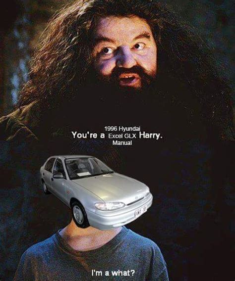 Hairy Wizard Meme By Awesomizer Memedroid