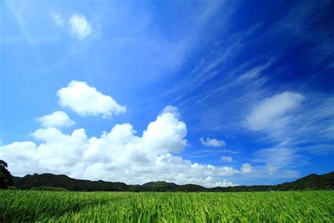 空 風 パターン フリー写真 田んぼと青空の Outdoor Nature Free Photos