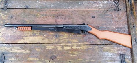 Vereinigte Staaten Von Amerika 2021 Daisy 177 Bbs Catawiki