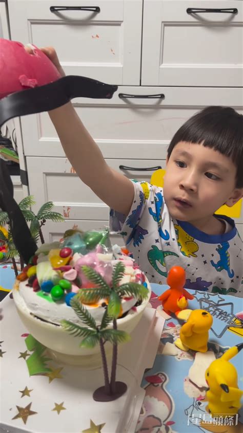 張致恒老婆雯雯被逼上絕路 深宵以9字留言放負疑無家可歸 星島日報