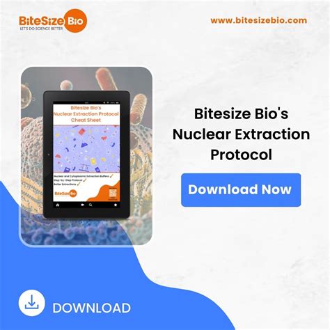 Nuclear Extraction Protocol